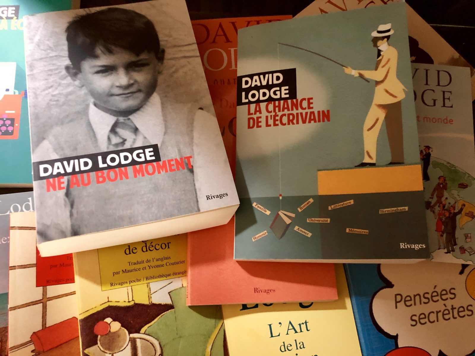 DIACRITIKDavid Lodge (1935-2025) : La Chance de l’écrivain